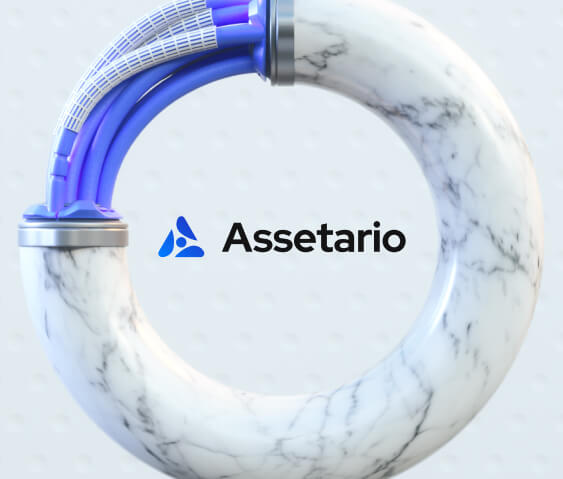 Assetario - Branding for the SaaS platform Case Study - Phenomenon